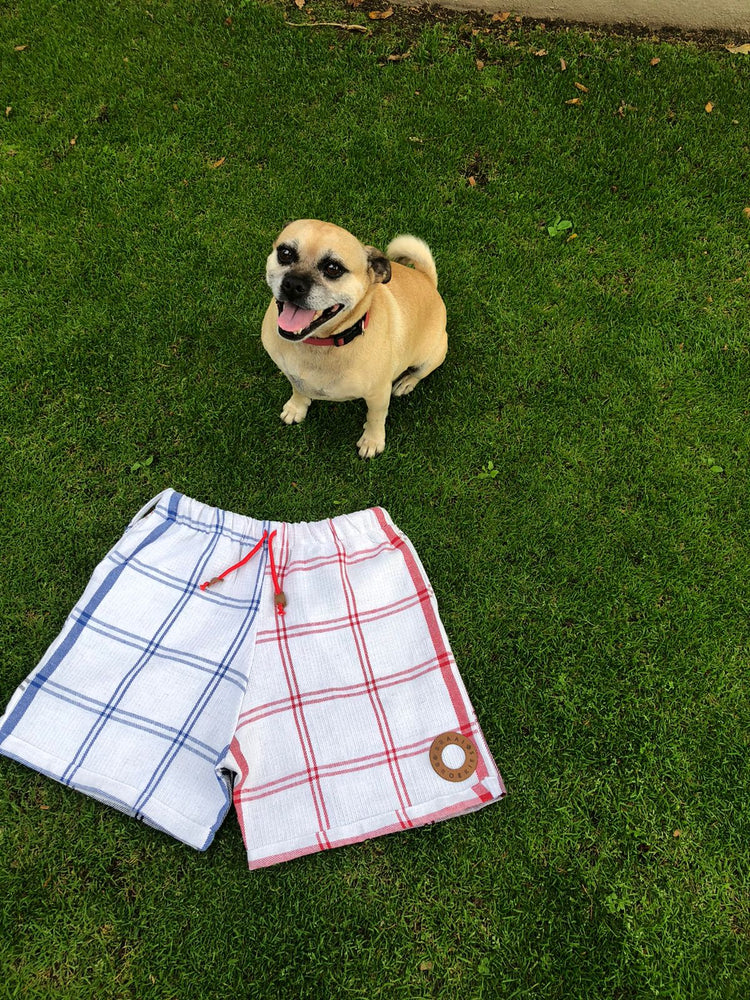 Braaibroekies – braaibroekies